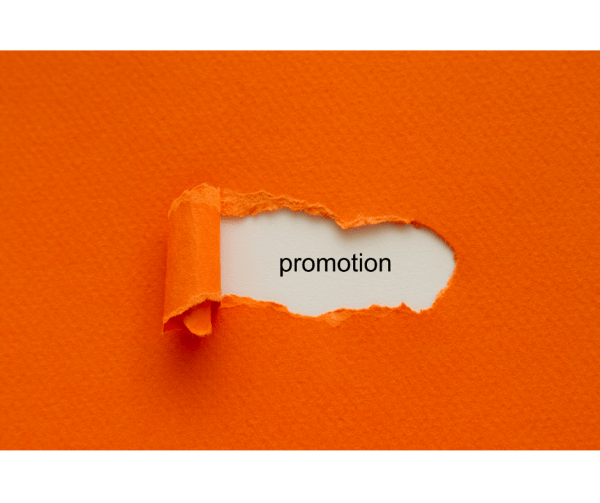 Magic Ears Vs VIPKid - Which Online Teaching Is Best In 2026